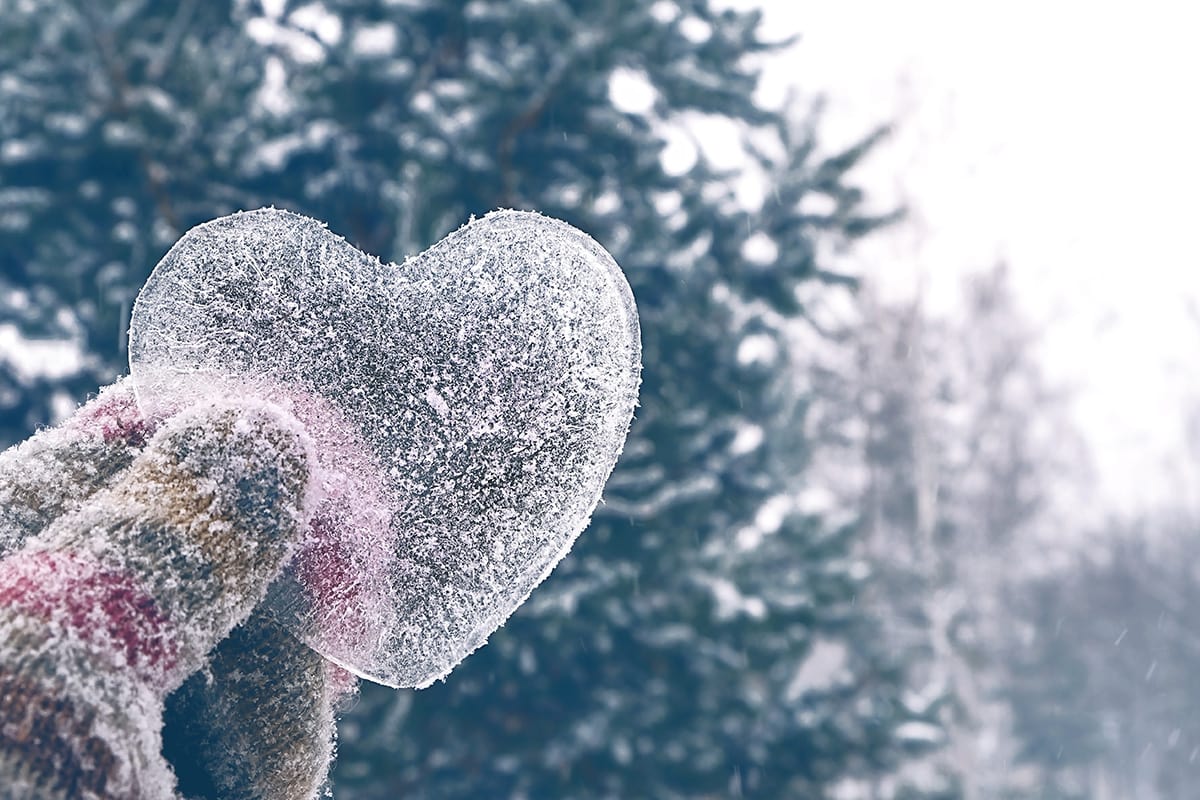 Finding Hope - Winter 2020 Newsletter - HOPE Sheds Light